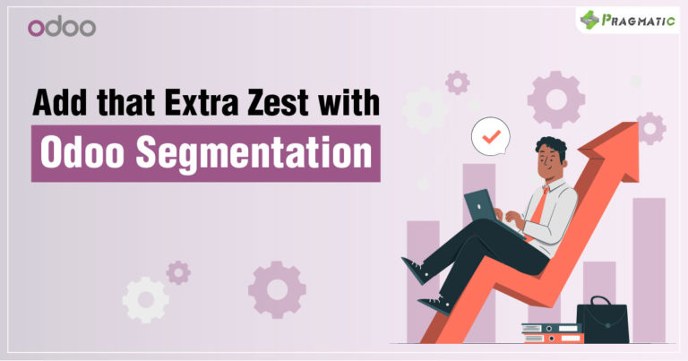 The Secret Sauce to Business Success - Odoo Segmentation - Pragmatic ...
