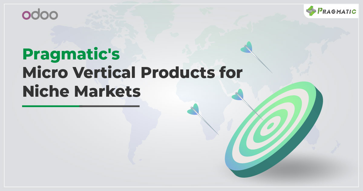 Niche Solutions for Niche Markets: Micro Vertical Products by Pragmatic ...